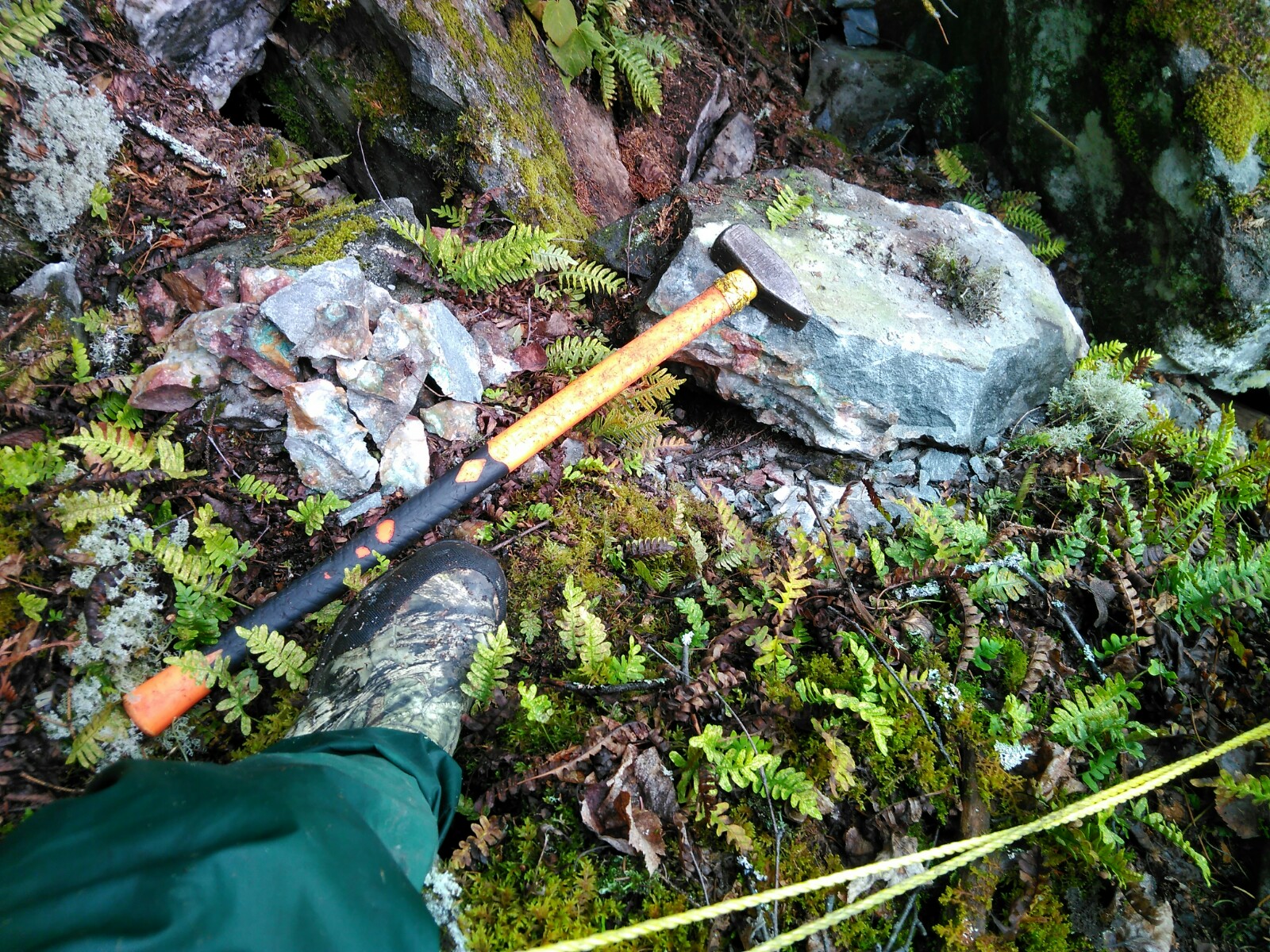 Element79 Gold startet umfangreiches Programm bei Dale - Miningscout